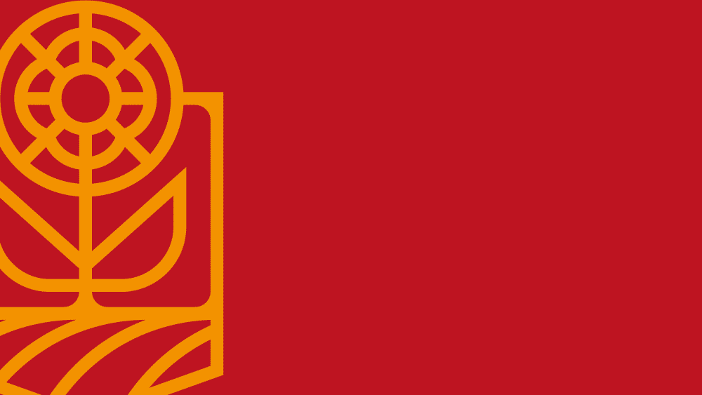 About Us - Marigold Finance